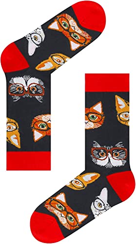 Cats Cute Funny Socks,Cat Gifts for Cat Lovers,Cat Mom Dad Gift, Funny ...